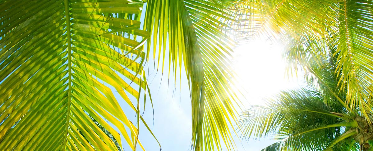 News & Press | Emirates Flight Catering