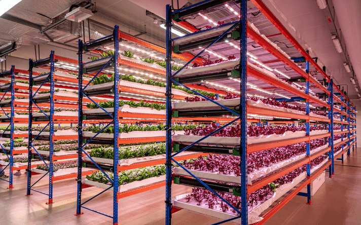 Emirates Flight Catering fully acquires Bustanica, the world’s largest ...